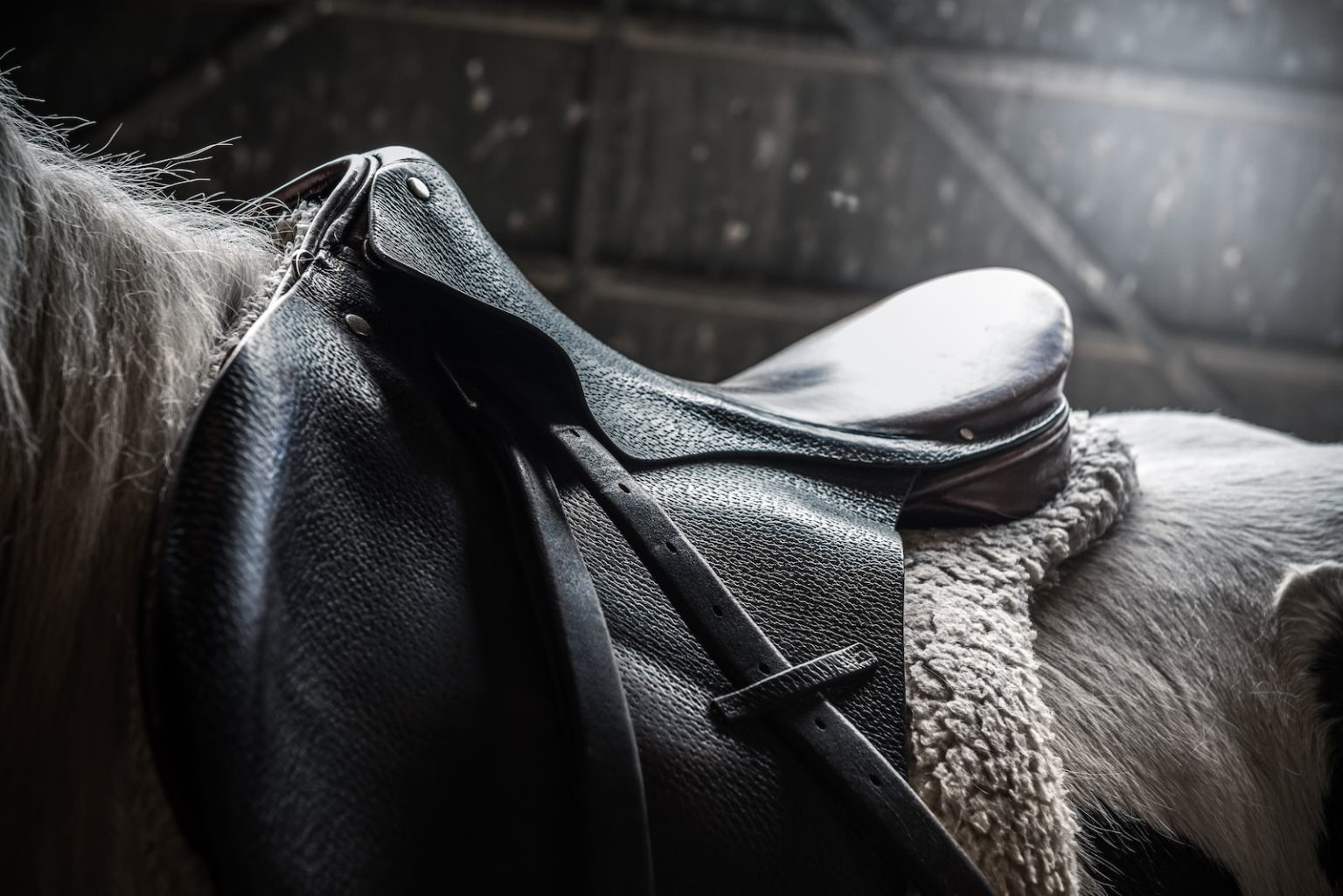 English Saddles: A Comprehensive Guide - Saddle Insight