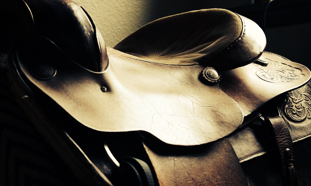 Saddle Conditioning: Enhancing Your Saddles Lifespan - Saddle Insight