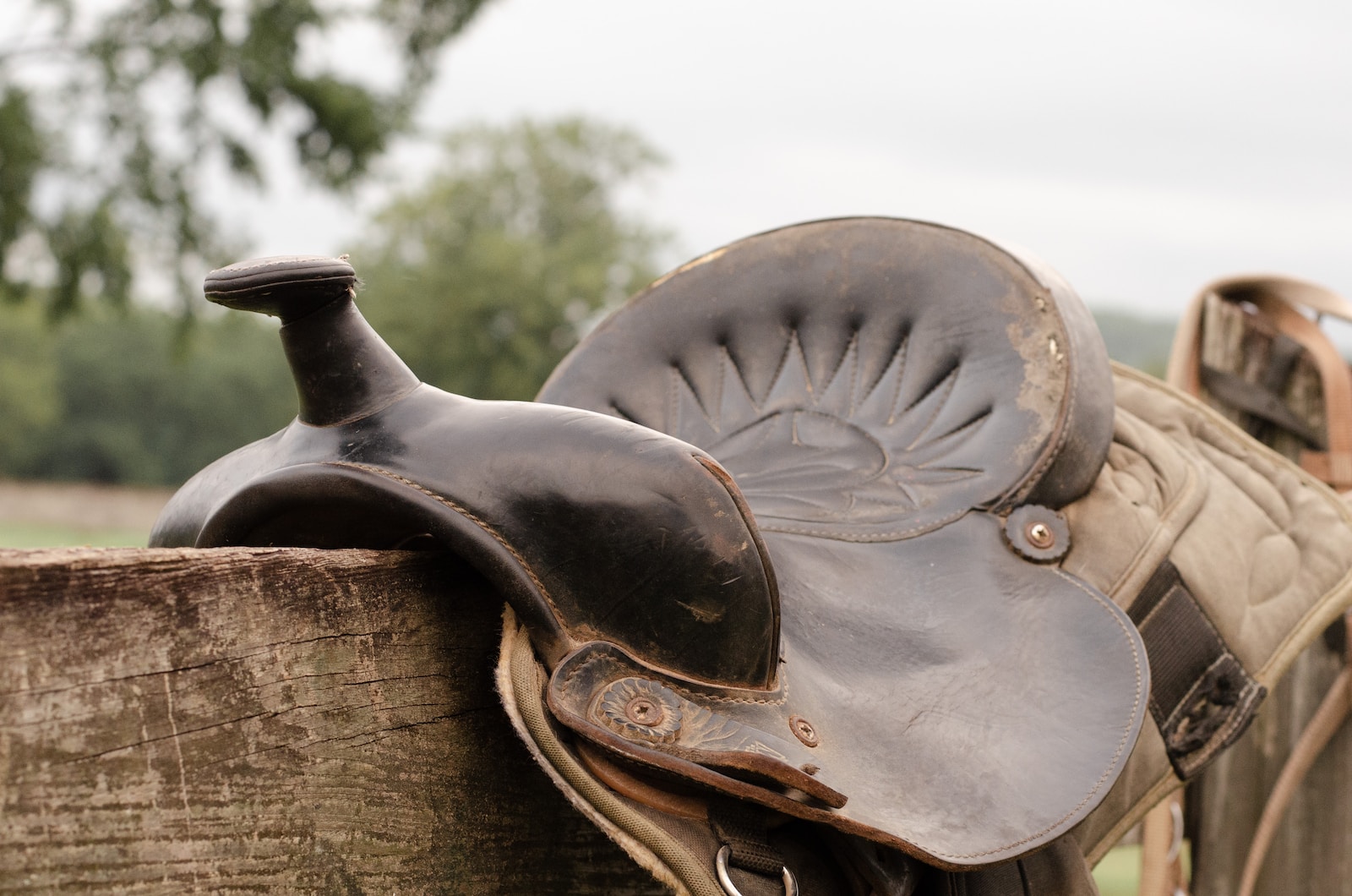 Western Saddles: Choosing the right type - Saddle Insight